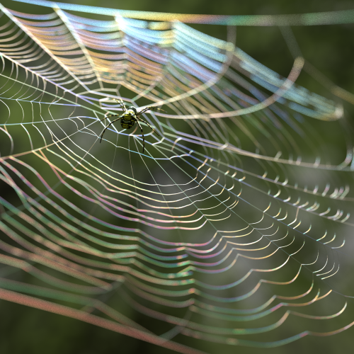 Papers | Cornell Graphics and Vision Group